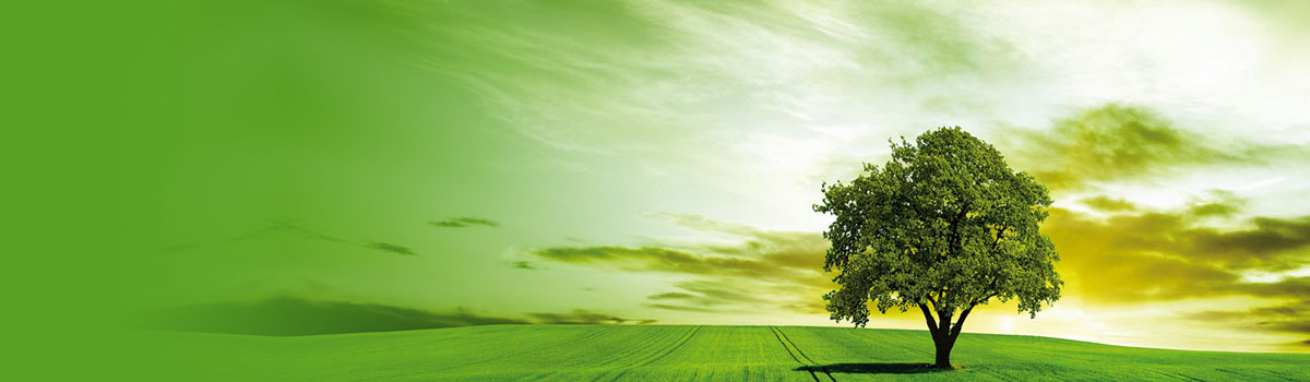 QUERCUS Labo bvba – Contract Laboratory